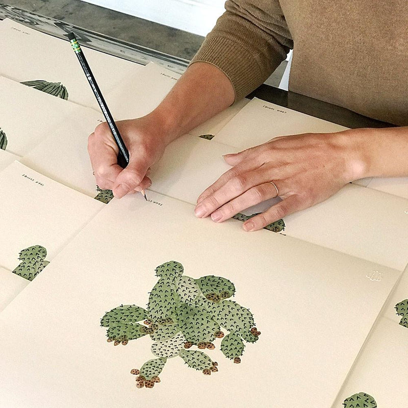 Sara Combs | Poster Child Prints | Barbary Fig | Ltd. Ed. Artwork